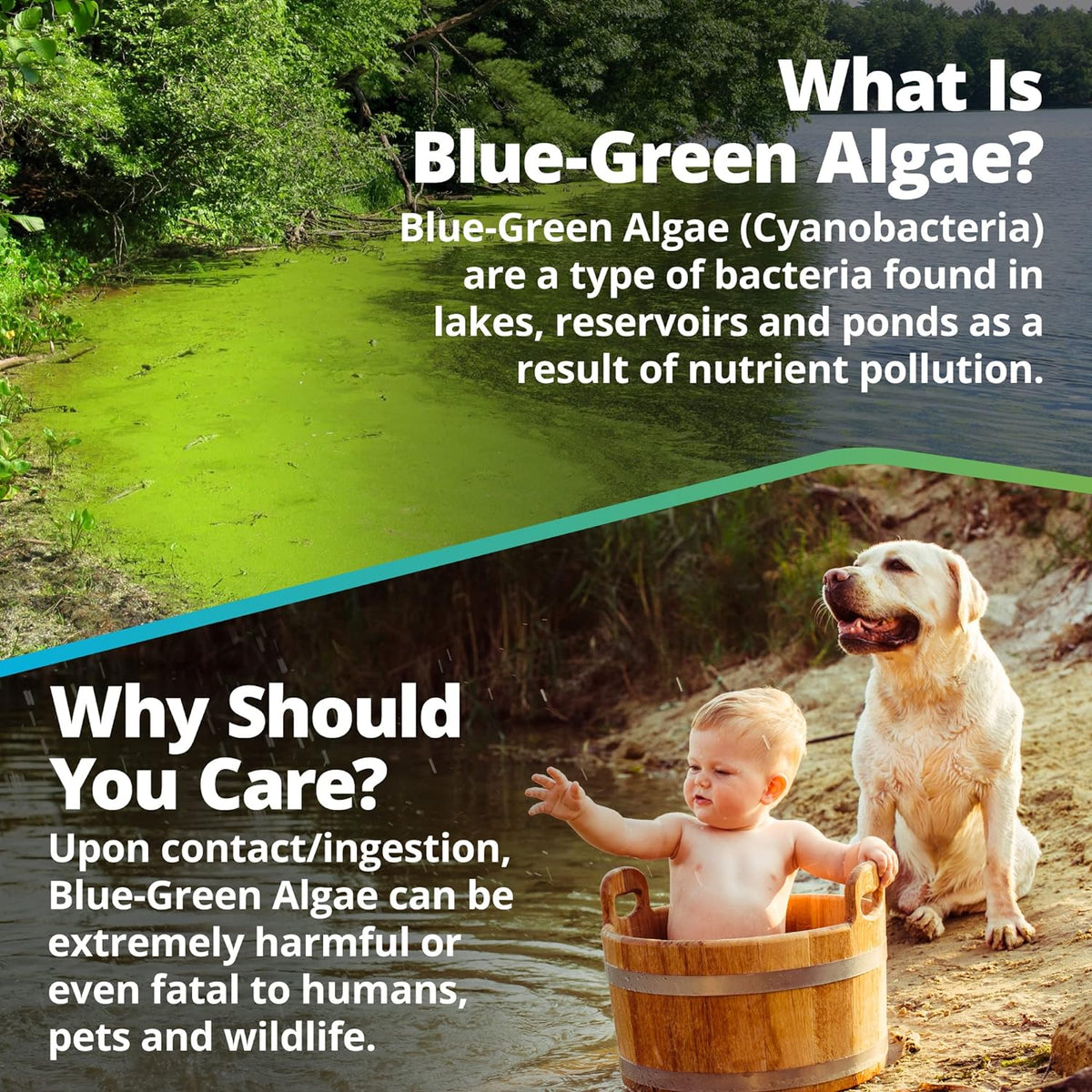Blue-Green Algae Water Test - Results In 15 Mins | 5Strands